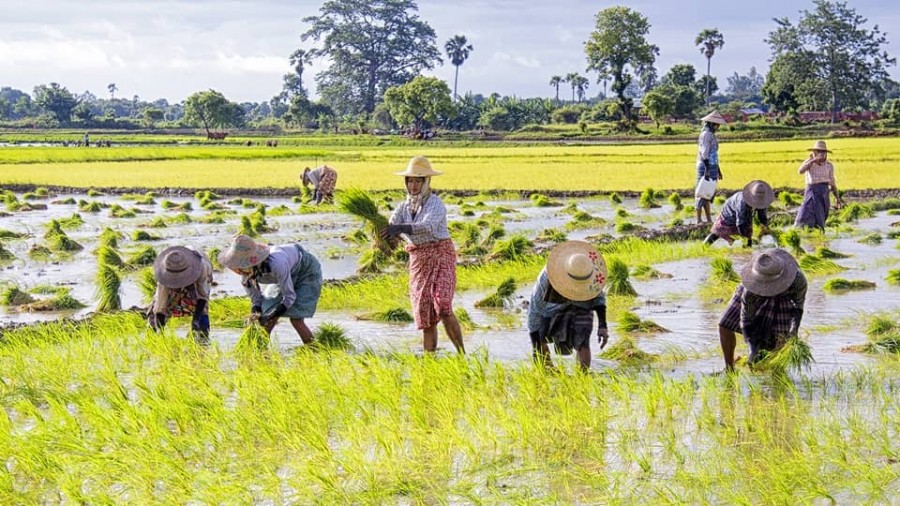Finding Opportunities and Roles of Women in Agriculture and Rural ...
